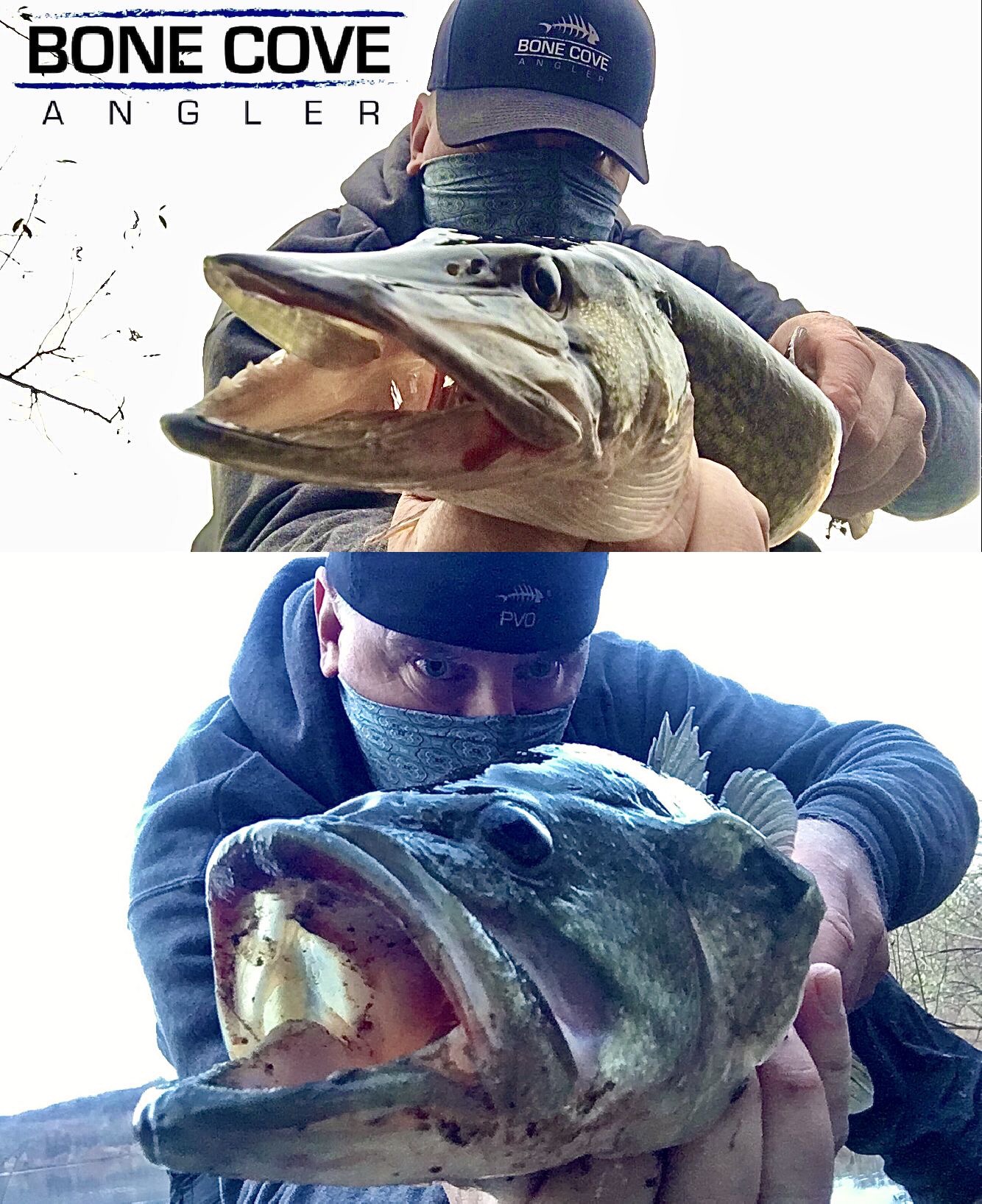 Grateful! – Bone Cove Angler