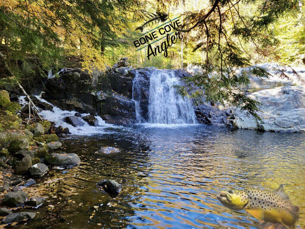 Autumn Angler – Bone Cove Angler