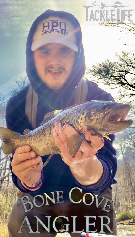 Breeder Brown! – Bone Cove Angler